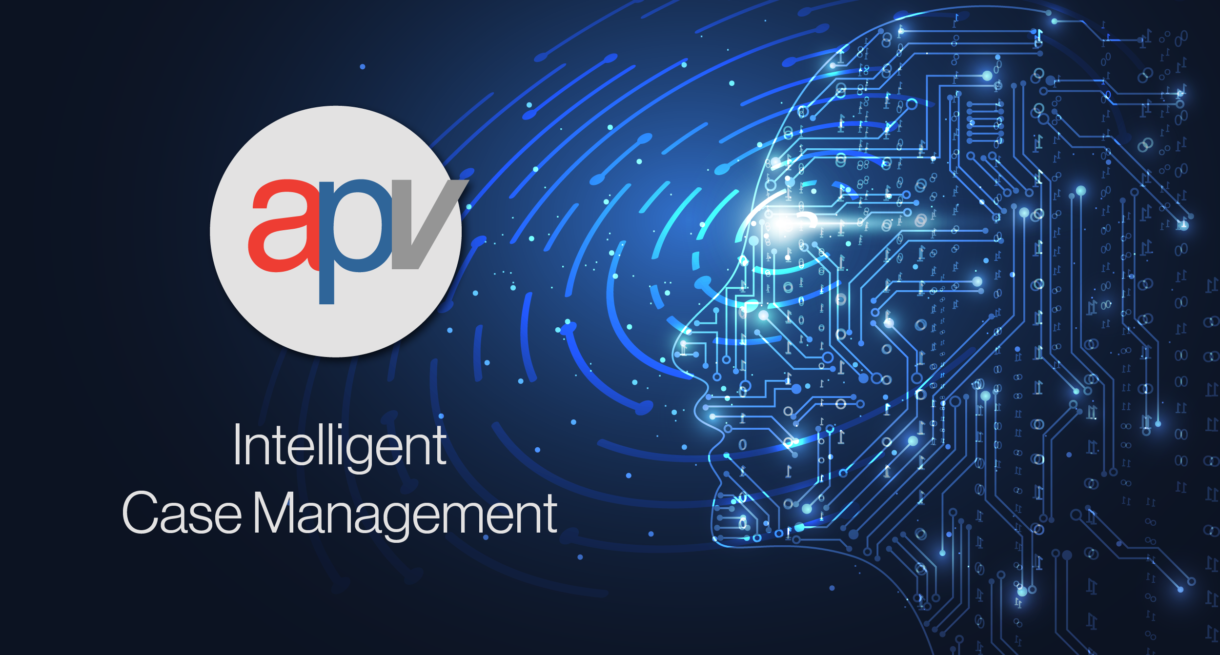 Human Capital and Management Consultation | APVit